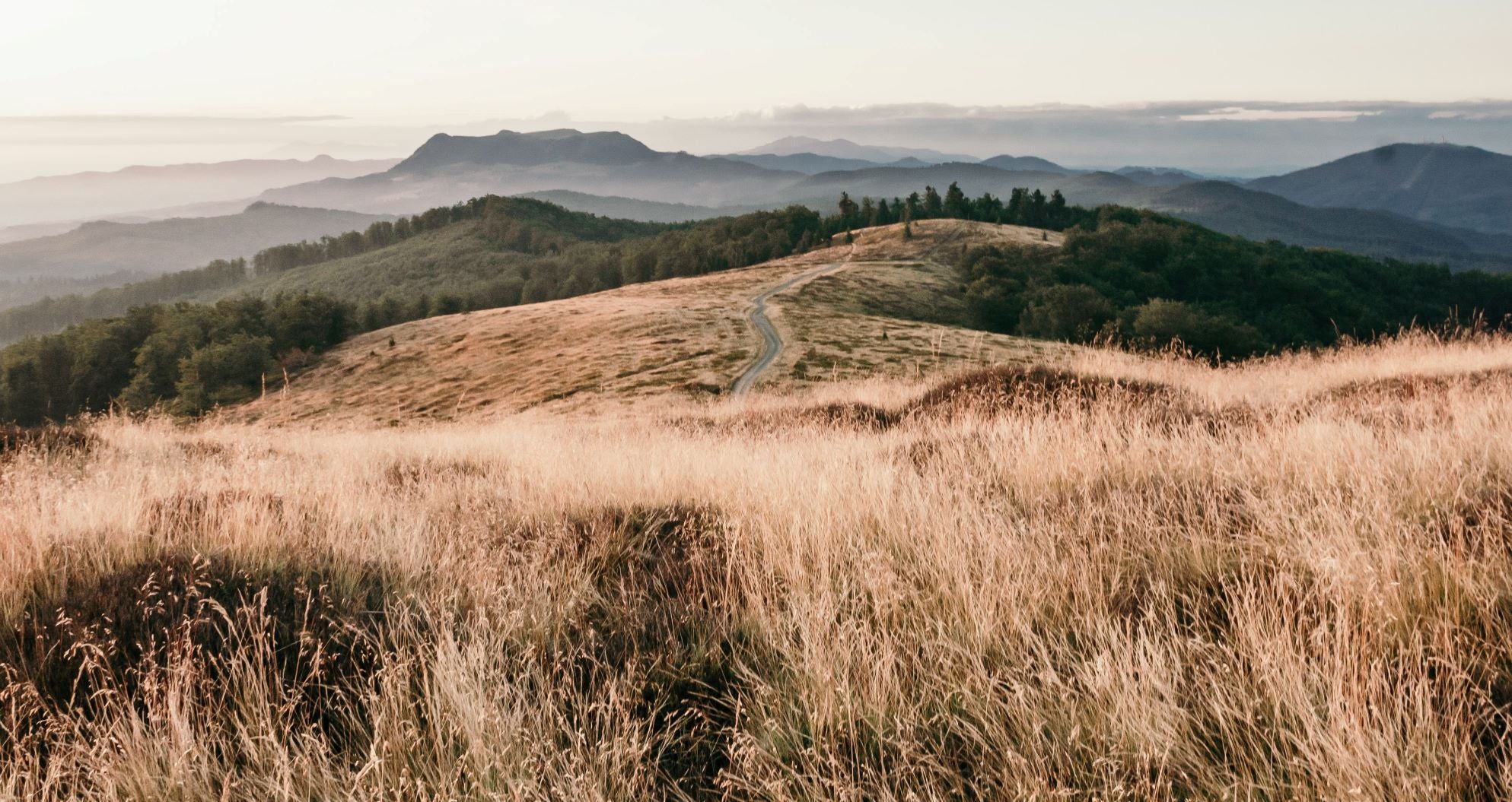 Super Safe MP5 – leesporting